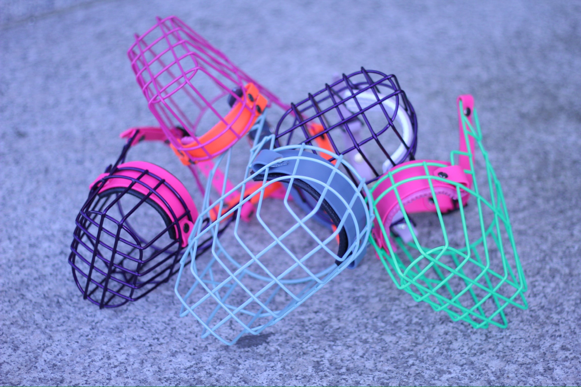 Hot Deals – Eastside Chains- Maulkorbberatung & Maulkorbmodifizierung