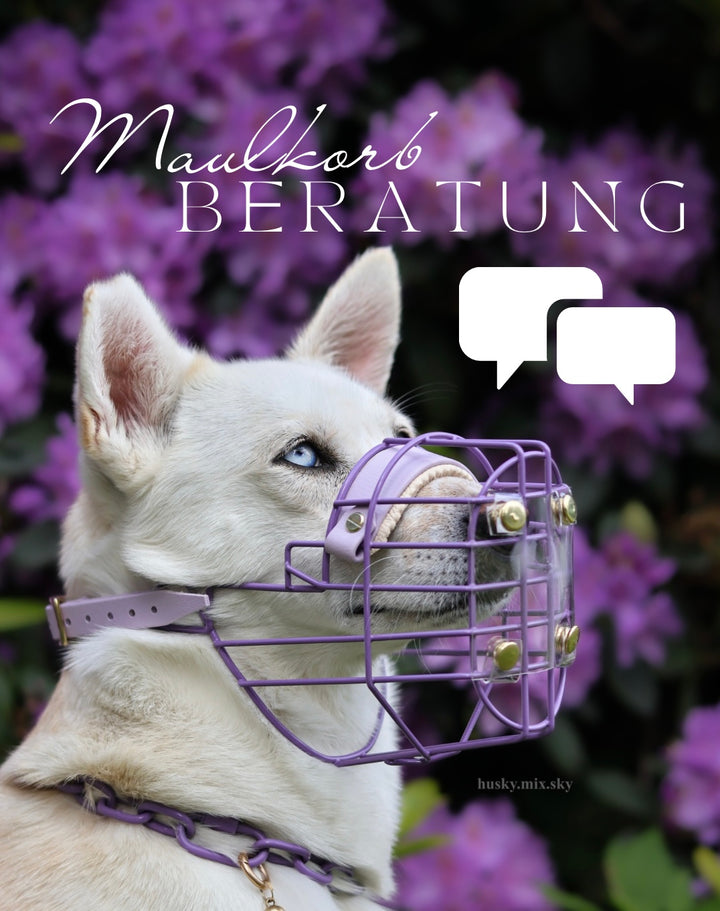 Der komplette Maulkorb – Eastside Chains