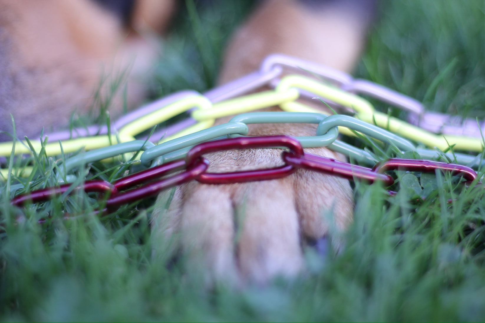 Langgliedrige Eastside Chain – Eastside Chains- Maulkorbberatung ...