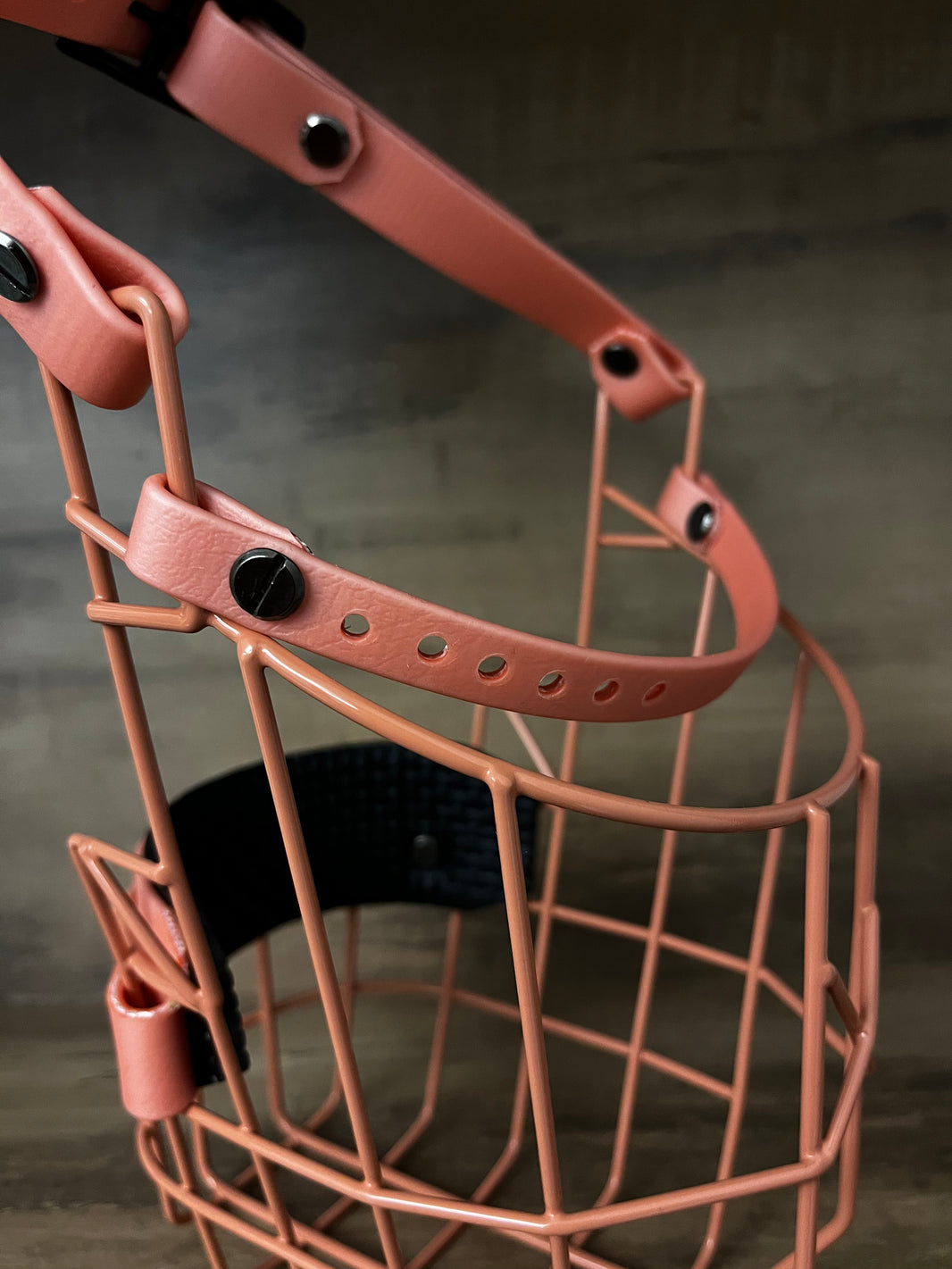 Eastside Maulkorbmodelle Polster, Riemen – Eastside Chains