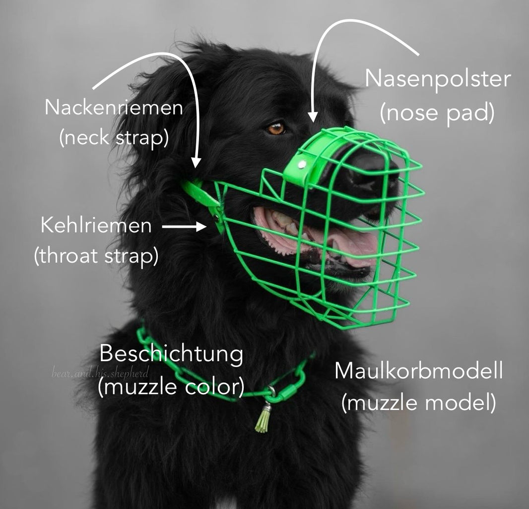 Der komplette Maulkorb – Eastside Chains